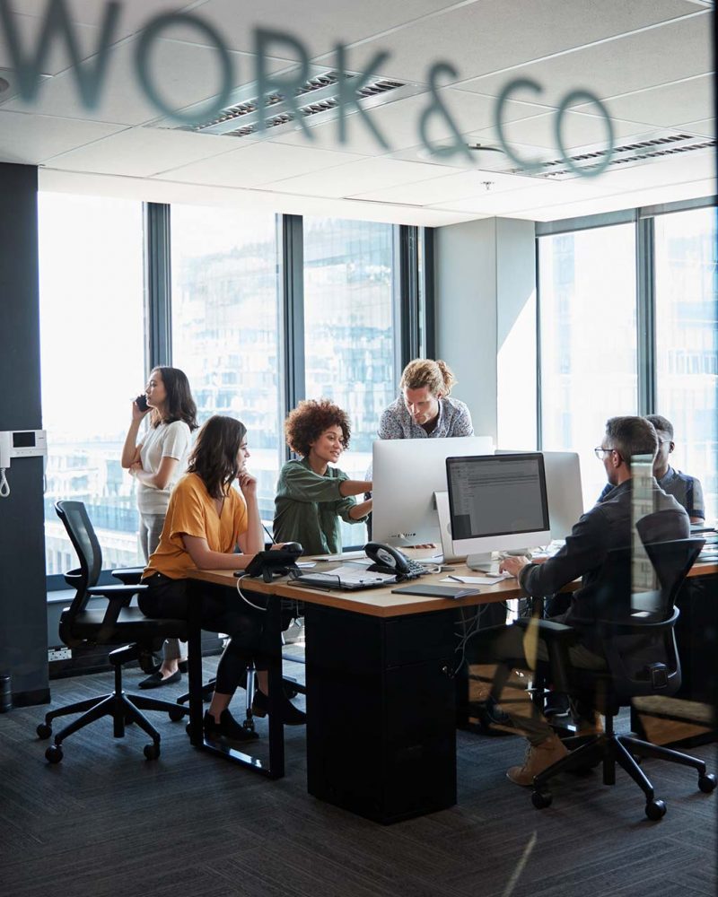 Inicio - Buzz Boost MKT